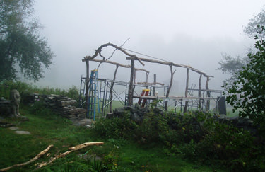 Black Locust — Arbors/Pergolas/Trellises