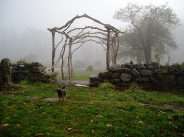 Black Locust — Arbors/Pergolas/Trellises