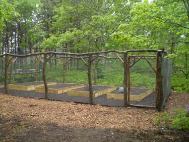Black Locust — Arbors/Pergolas/Trellises