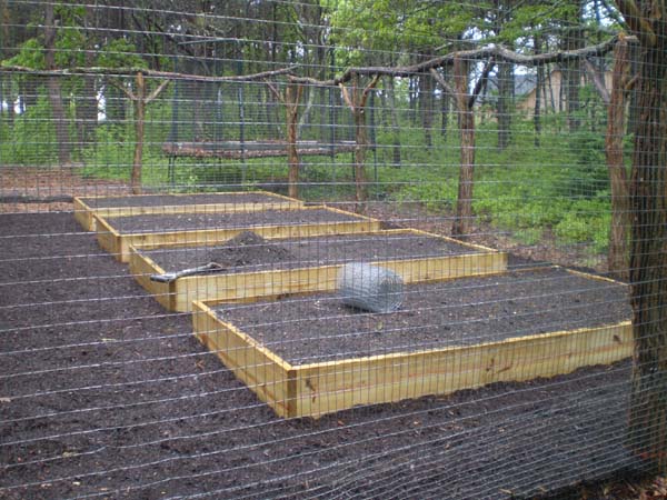 Black Locust — Arbors/Pergolas/Trellises