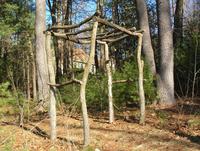 Black Locust — Arbors/Pergolas/Trellises